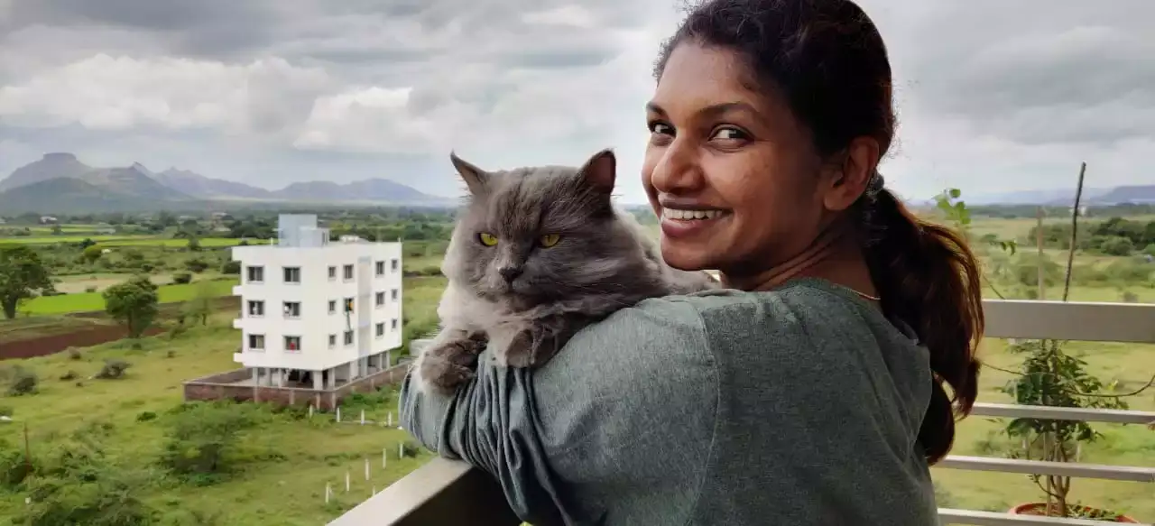 Cats for Sale in Ahmedabad, Gujarat| Healthy Kittens, Prices & Home ...